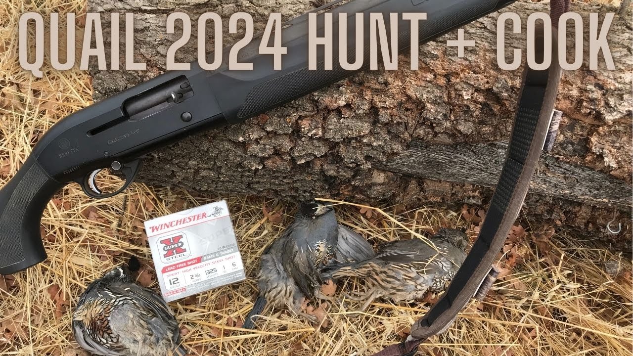 Solo California Quail Hunting Hunt and Cook Sesame Quail Opening Week ...