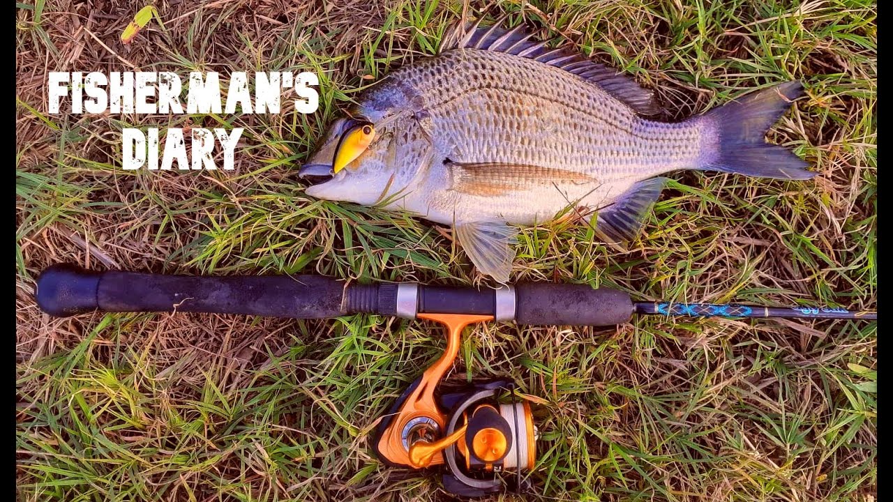 Bream On A Crankbait - Fishing A Tiny Creek In The Cane Fields ...