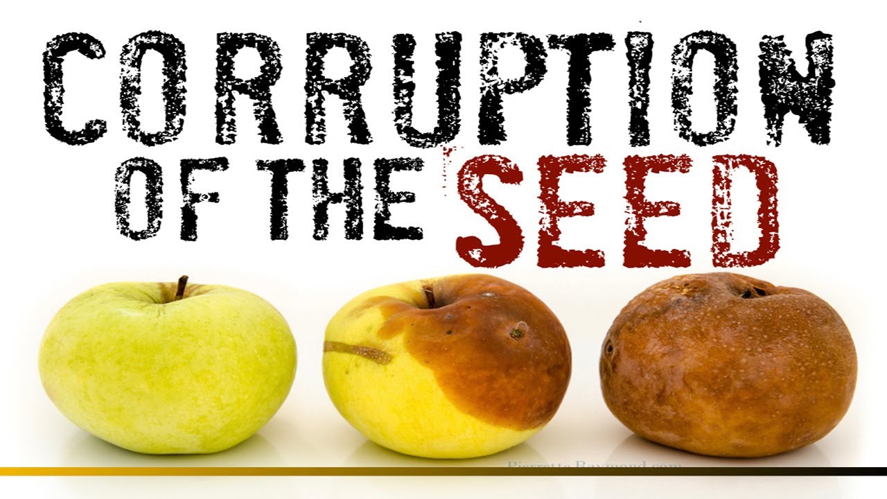 Corruption Of The Seed 6/13/2020 - YouTube