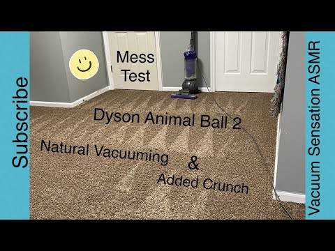 Dyson Animal Ball 2 | Natural Vacuuming with Added Crunch + Dyson Ball Clean -Up  😍🙌🏼😘