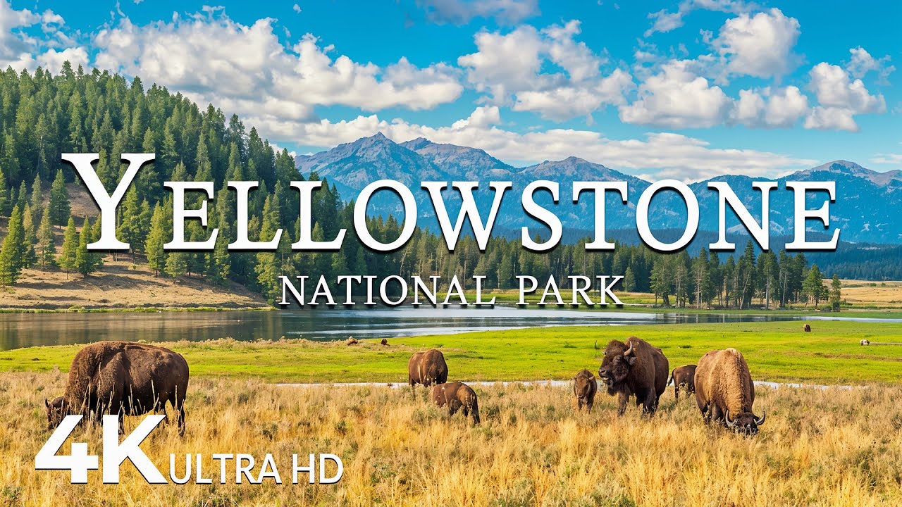 YELLOWSTONE NATIONAL PARK 4K Ultra HD - Calming Music With Beautiful ...