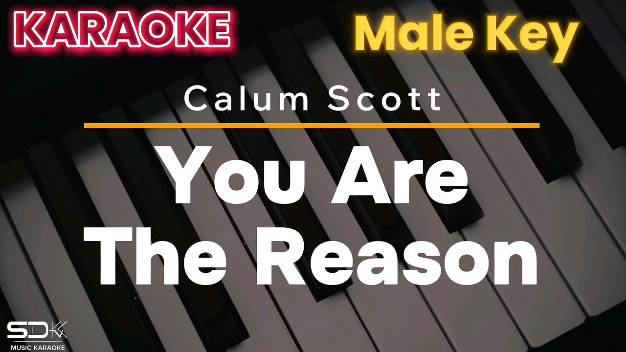 You Are The Reason - Calum Scott (Karaoke songs piano with lyrics male ...