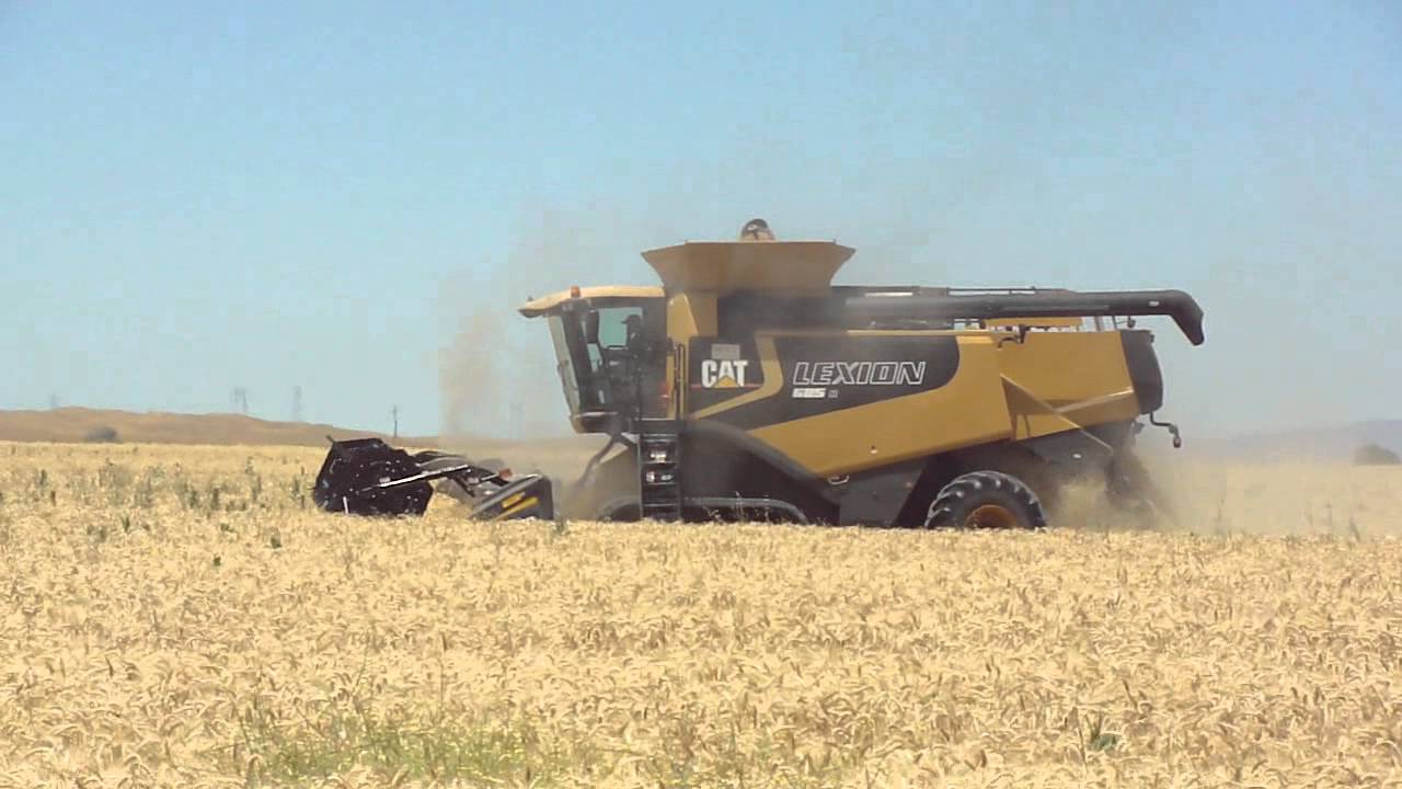 Lexion 585R - YouTube