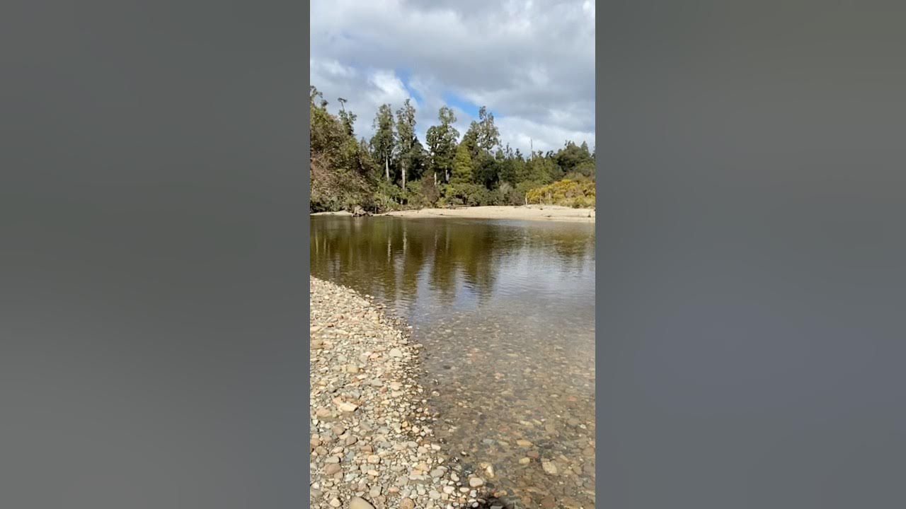 River near Moana | 12 September 2025 - YouTube