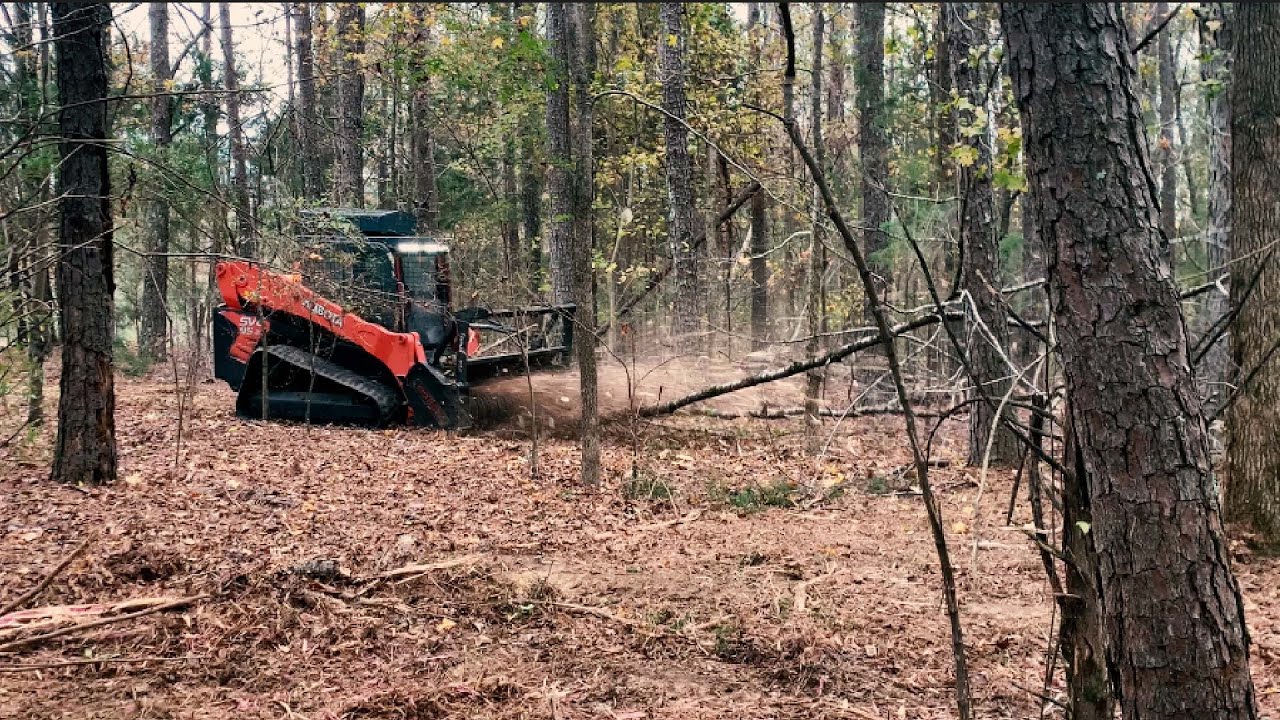 HUGE Transformation | Clearing land and Felling trees I Part One - YouTube
