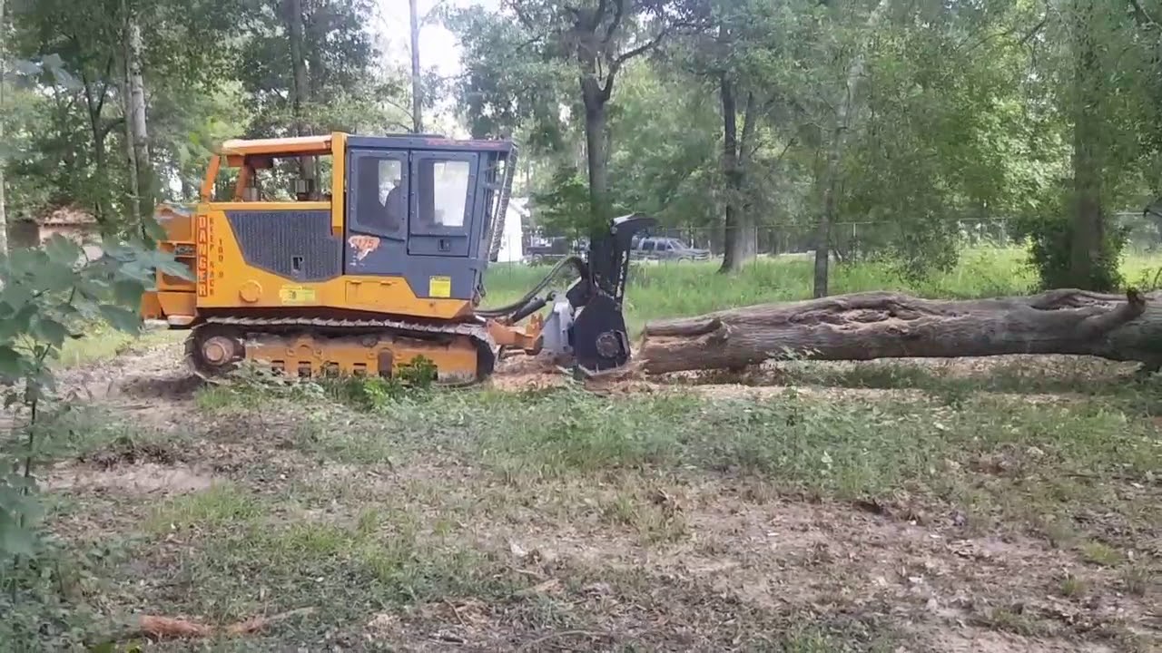 Mulching s big tree with ease. Site Prep for future homesite in ...