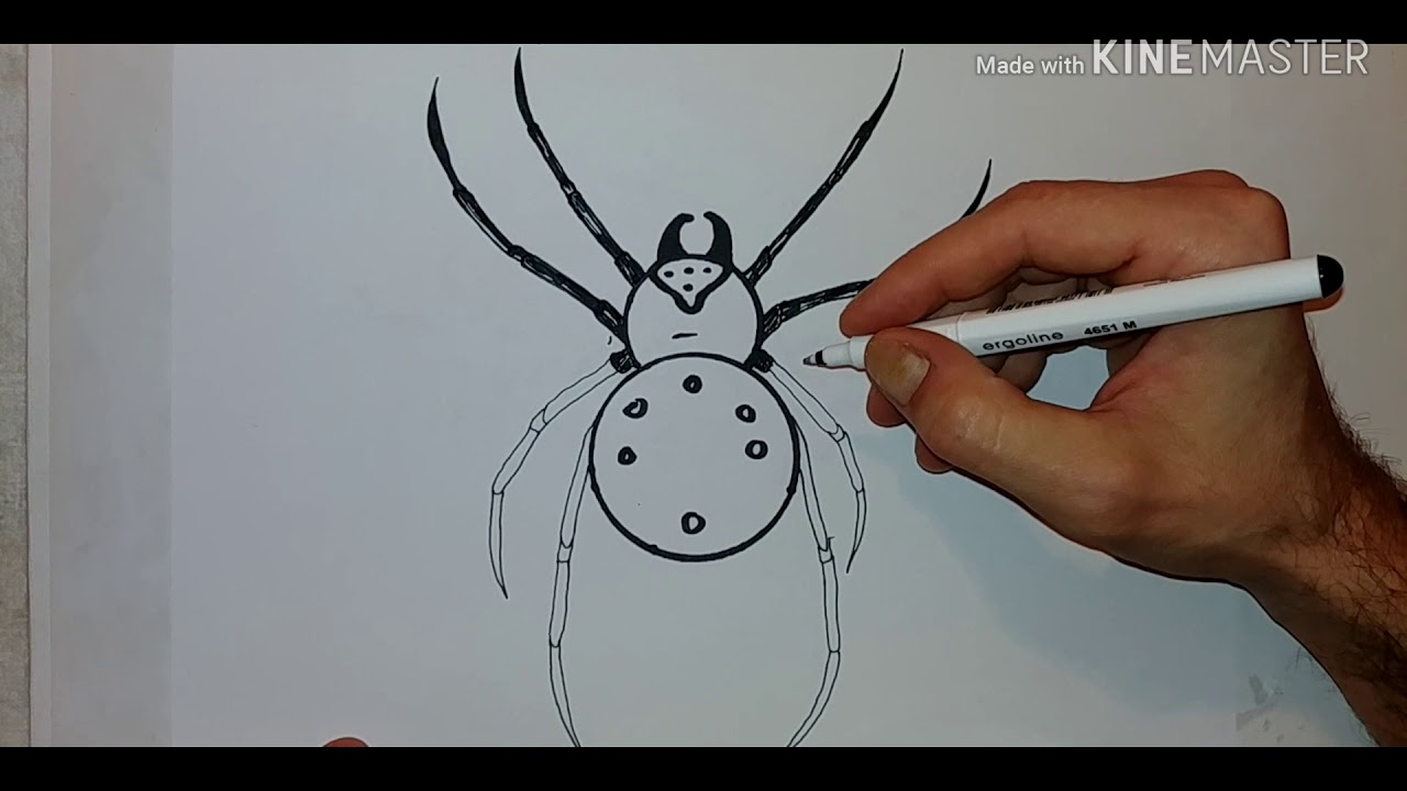 Spider drawing simple & easy - YouTube