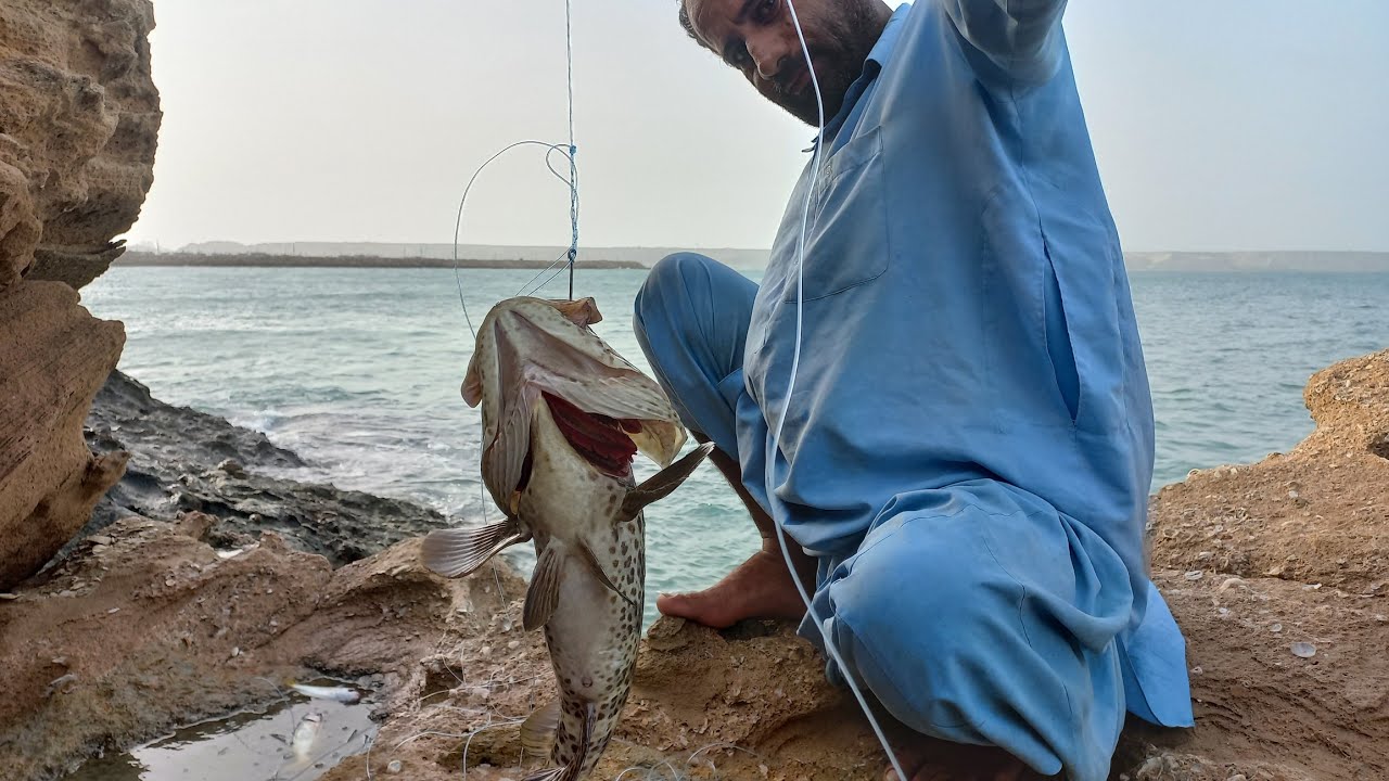 LIVE BAIT FISHING | BEST RESULT |ماهیگیری با طعمه زنده - YouTube
