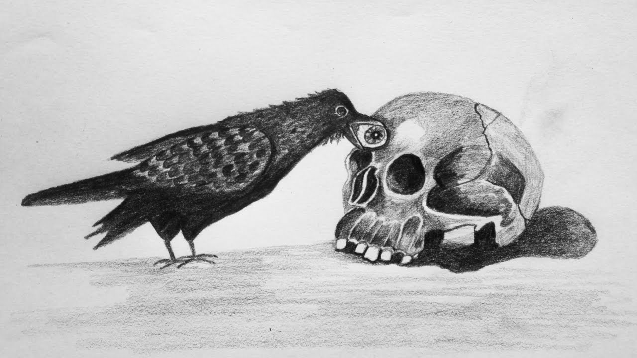 How to draw skull & crow simple trick | Pencil art step by step easy ...