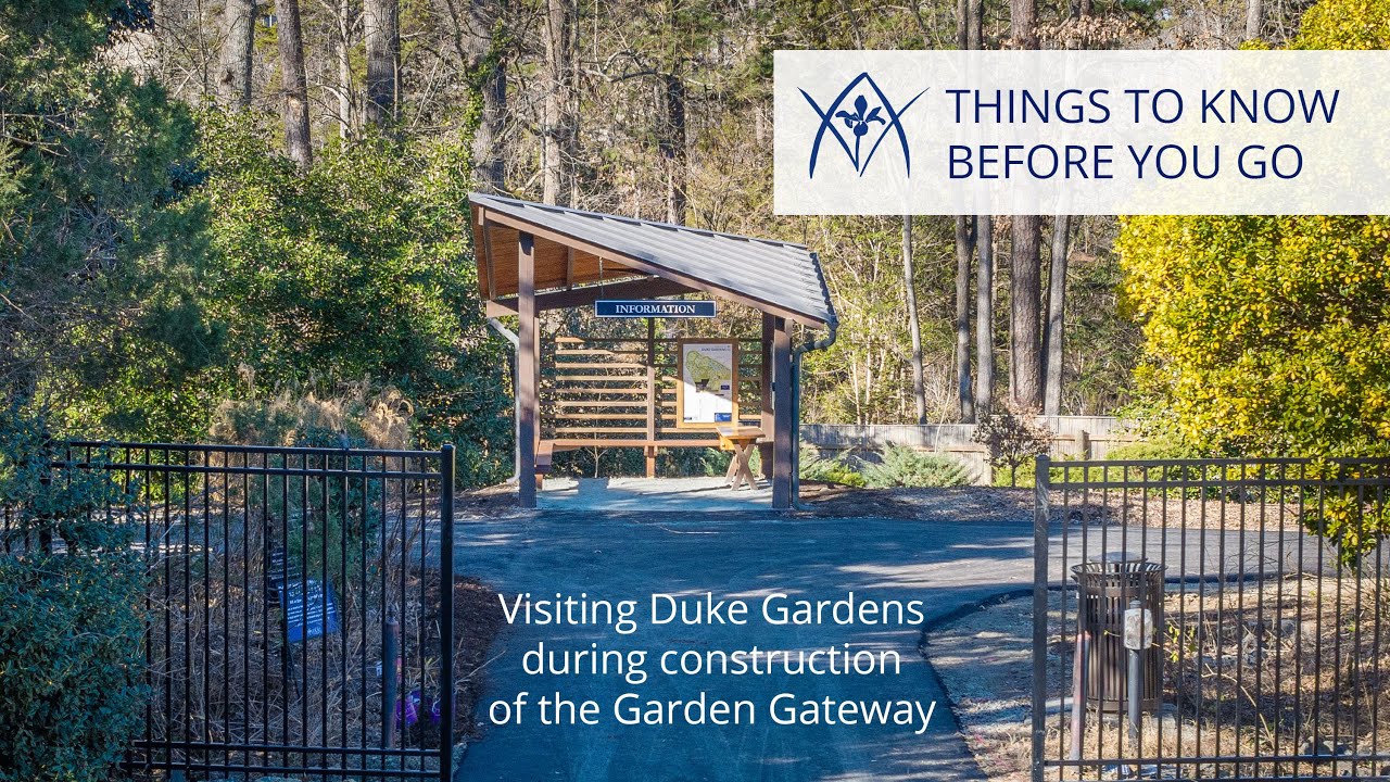 Things to Know Before You Go: Visiting Duke Gardens during Garden ...