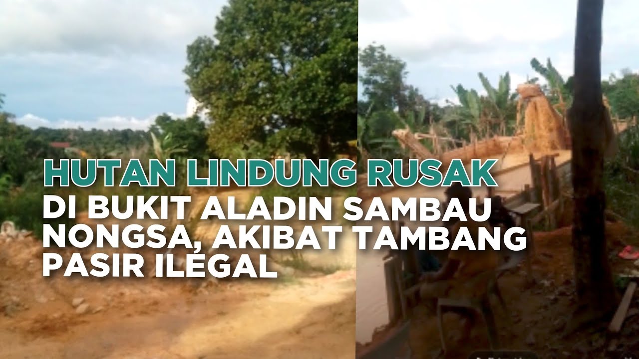 Hutan Lindung di Bukit Aladin Sambau Rusak, Akibat Tambang Pasir Ilegal ...