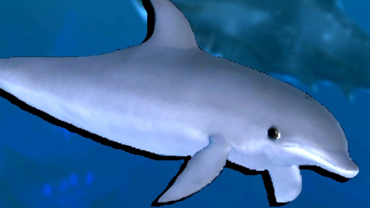 Le DAUPHIN débarque dans l'océan (Feed and Grow: Fish) - YouTube