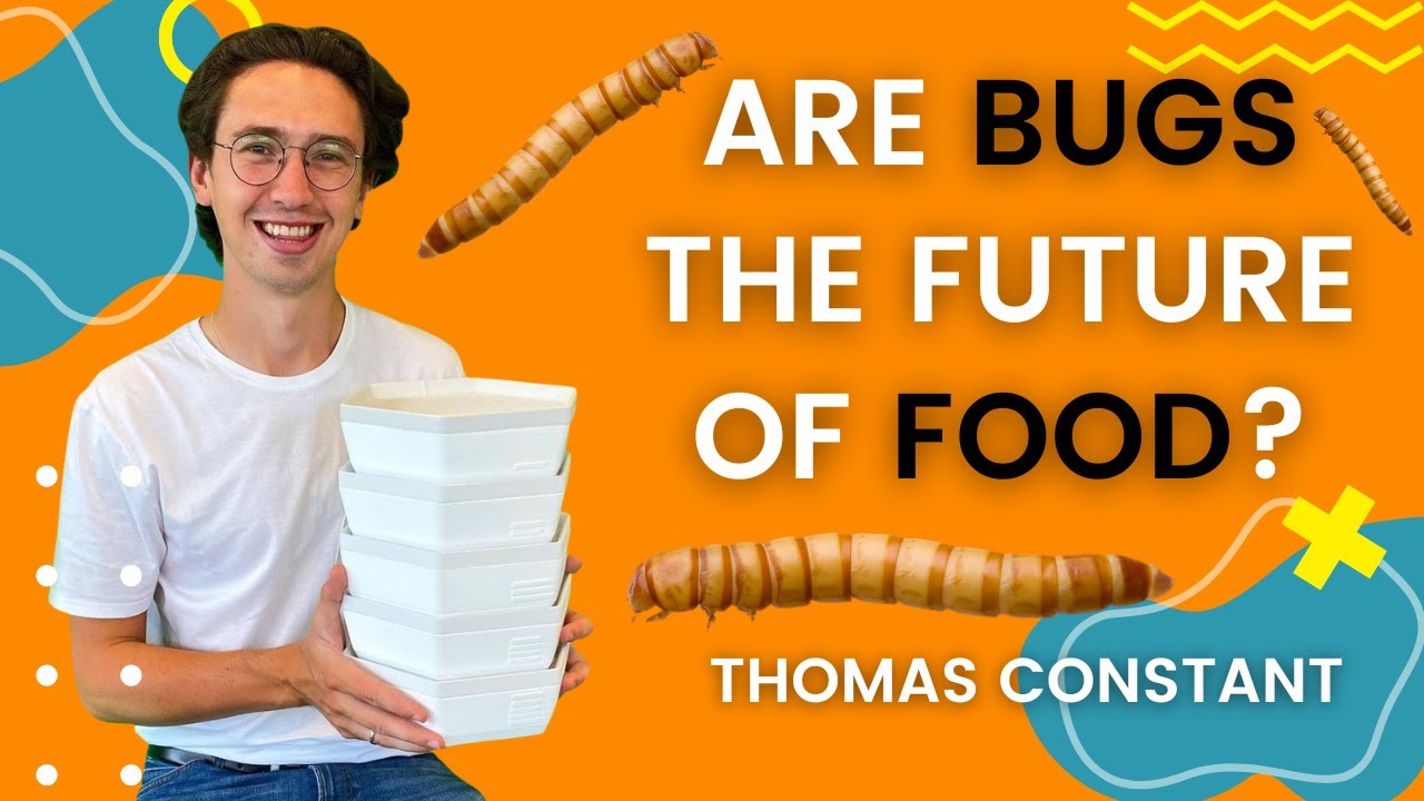 Is eating INSECTS the FUTURE of FOOD? | Thomas Constant on Just ...