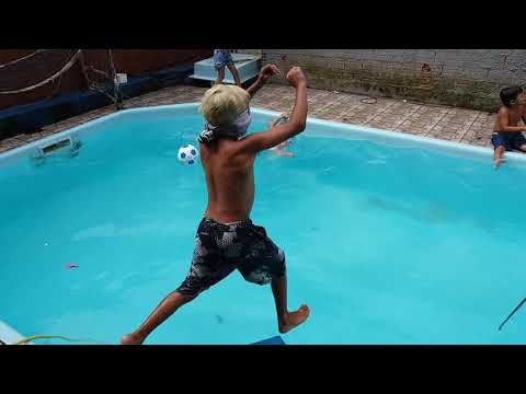 desafio bird box 2