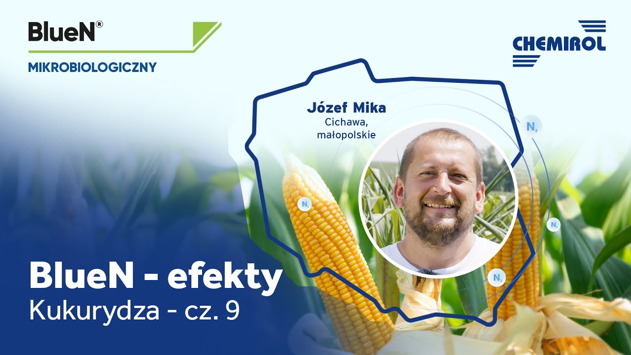 BlueN® efekty stosowania oczami rolników w uprawie kukurydzy cz.9 ...