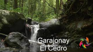 El Cedro - World Islands