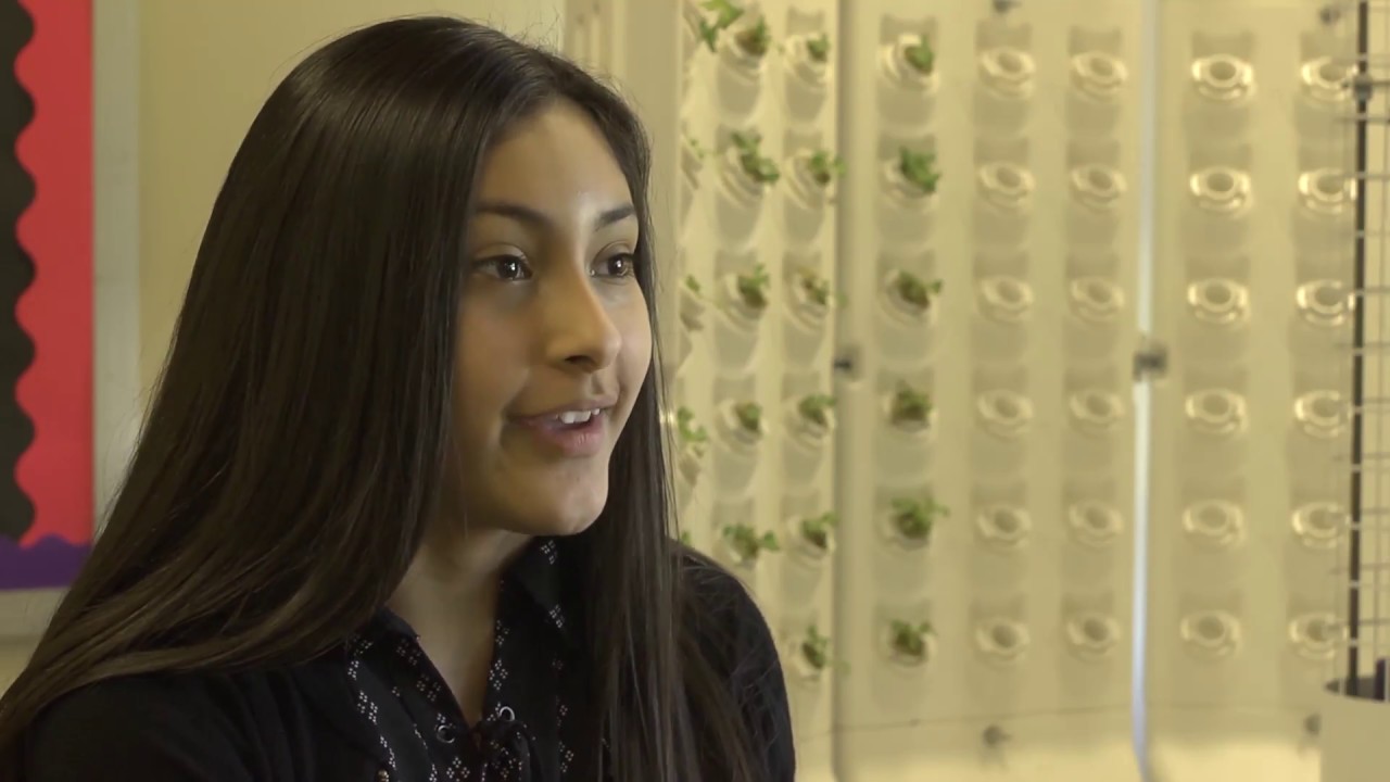 Flex Farm Promo - YouTube