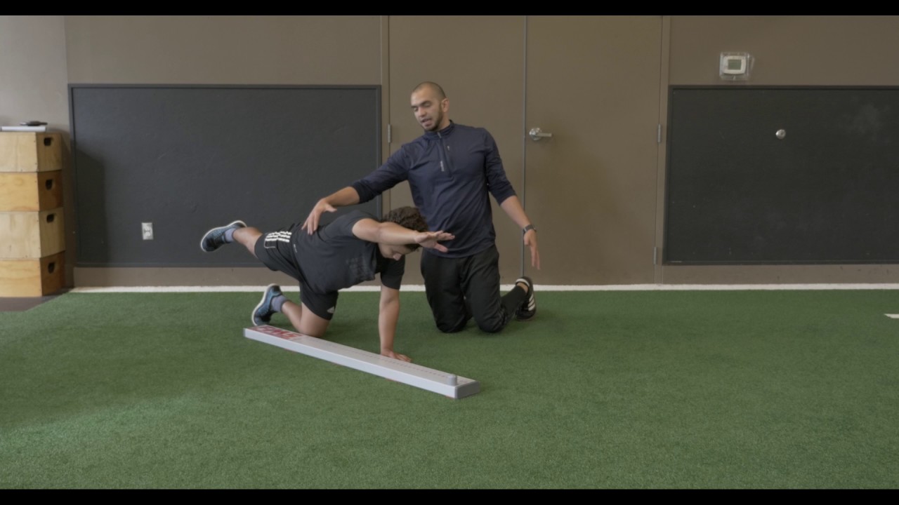 FMS Rotary Core Stability - YouTube