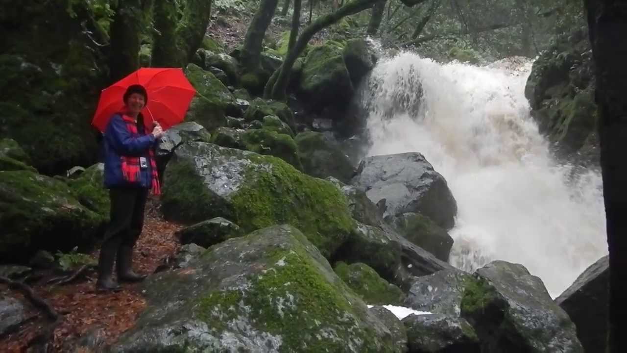 Sonoma Creek Waterfall, Sugarloaf Ridge State Park, Santa Rosa, CA ...