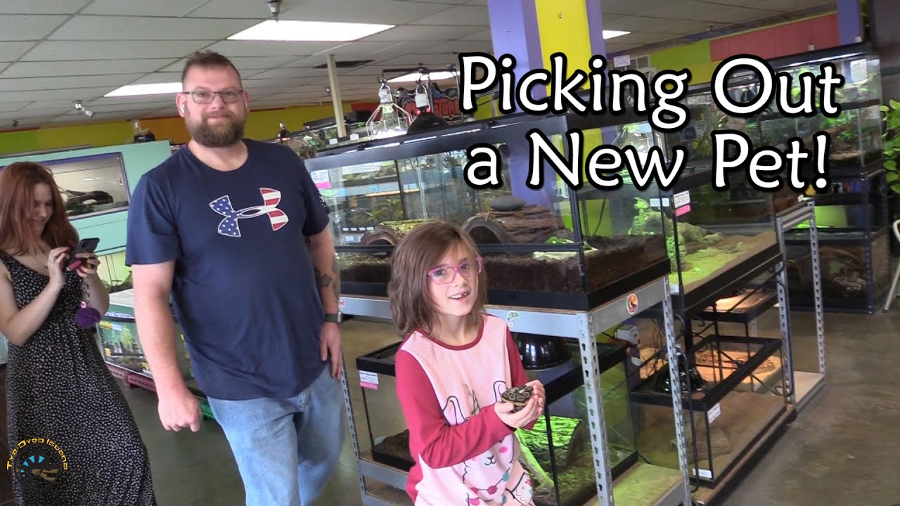 Let's Spy on TDI! - Picking Out a New Pet Python, Red Comes Out of ...