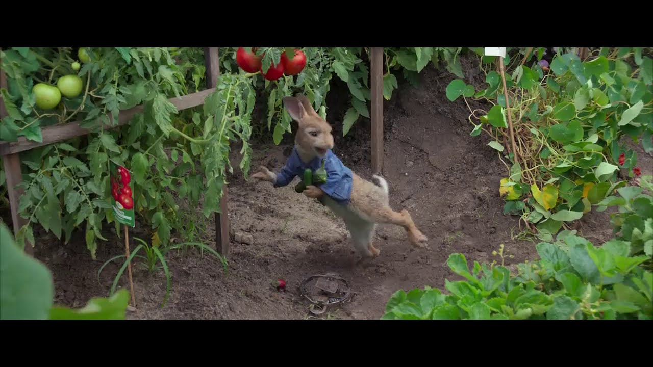 Rabbit Stealing Vegetables - YouTube