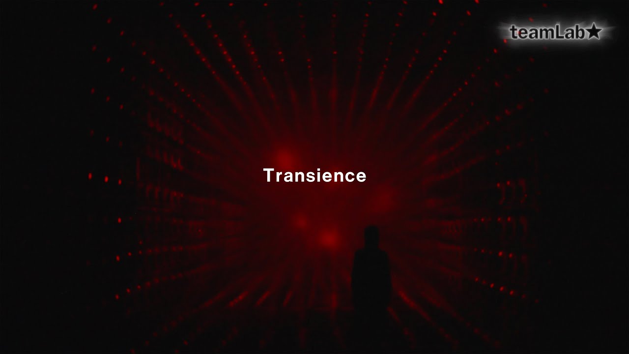 Transience - YouTube
