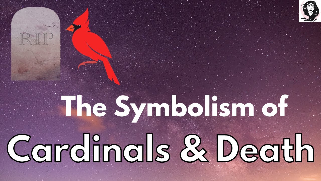 Symbolism of Cardinals and Death - YouTube