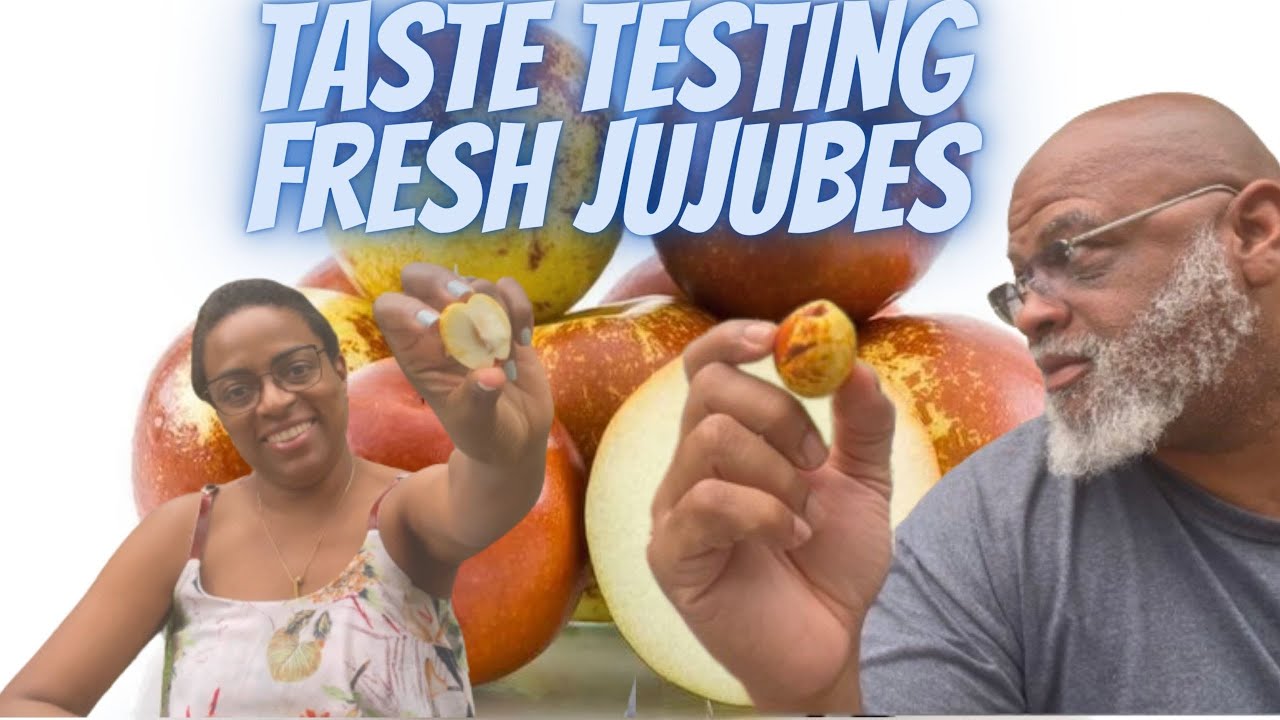 Taste Testing Fresh Jujubes!! - YouTube