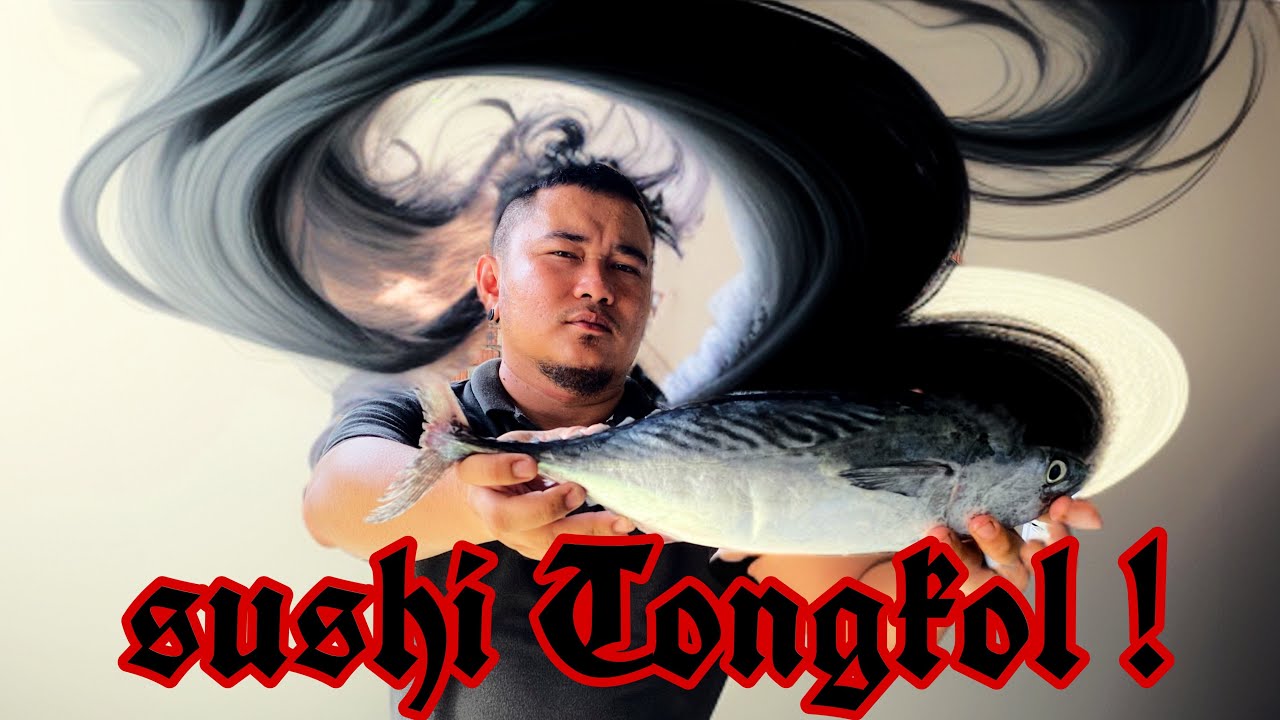 umai Ikan Tongkol / raw mackerel tuna fish - YouTube