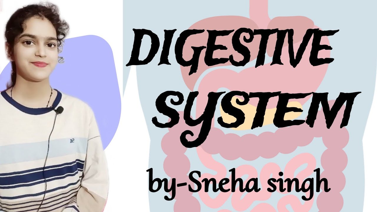 Digestive system | For class 10th,12th, NEET, - YouTube