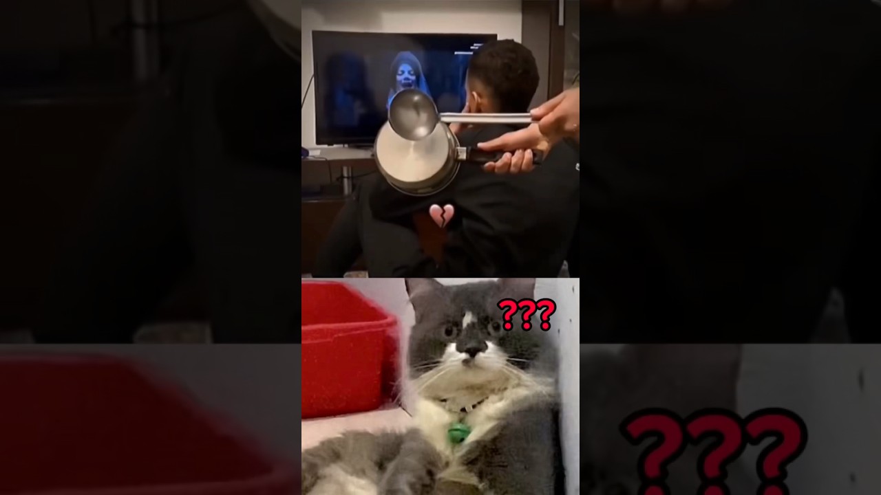 bro was shocked and hit the television 😱 #funnyvideo #memes - YouTube