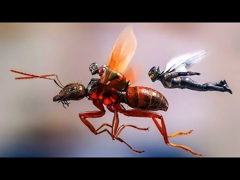 ant man vs falcon full fight in hindi - ultra hd quality - @marvel #marvel #antman