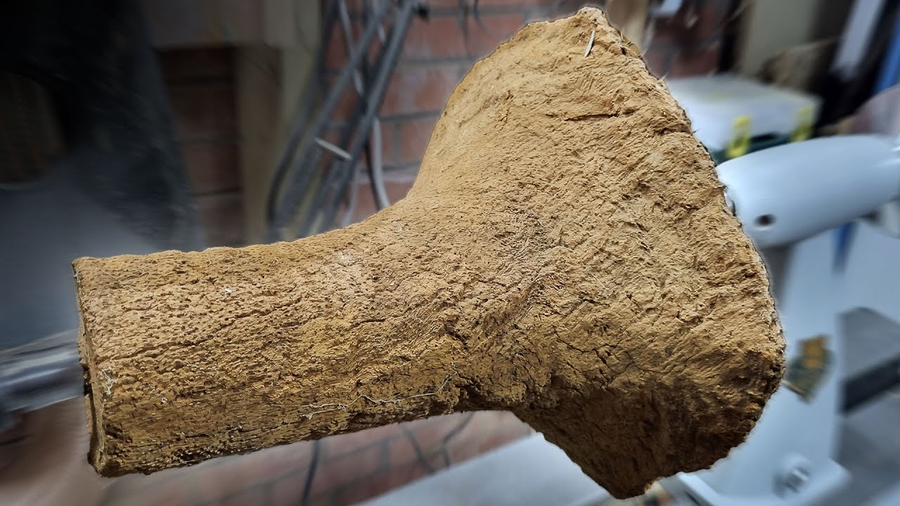 The Holy Grail of Rarity, Woodturning a Grass Tree Root - YouTube