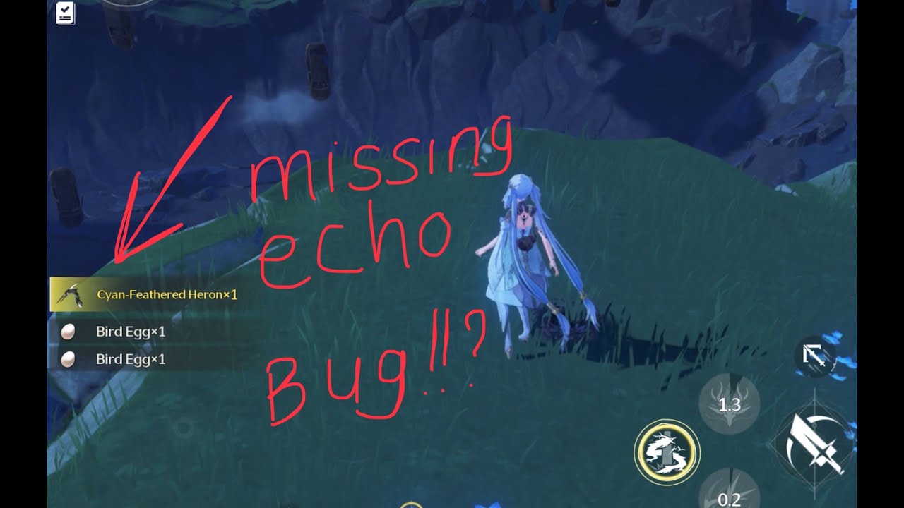 Missing echo Bug !! Happened several times Kuro! Any compensation? - YouTube