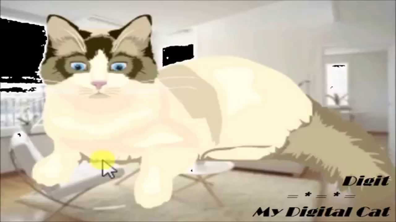 Digit - My Digital Cat - YouTube