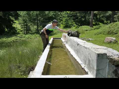 4. Bölüm Doğada İbretlik Çam Ağacı, Tereyağlı Mantar (Kanlıca)Yaptık