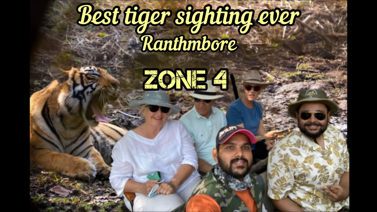 Shakti Tiger Subadult Male Cub and Machali tigress T16 Bloodline ...