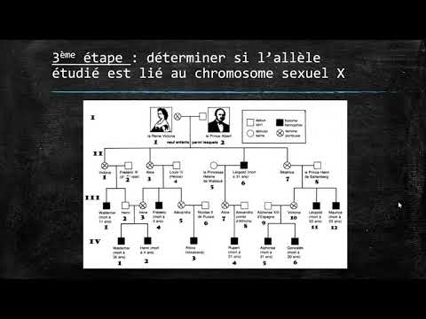 Exploiter un arbre généalogique en génétique - YouTube