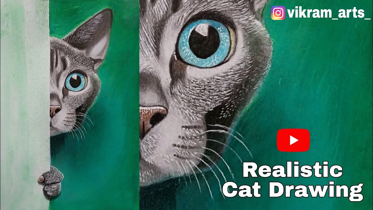 Realistic Cat Drawing 😻 Billi ki real Sketch time laps video 🖌️Vikram ...