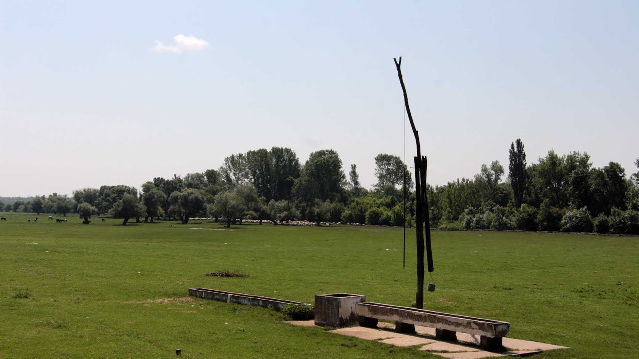 SELO LOK⭐️ - YouTube