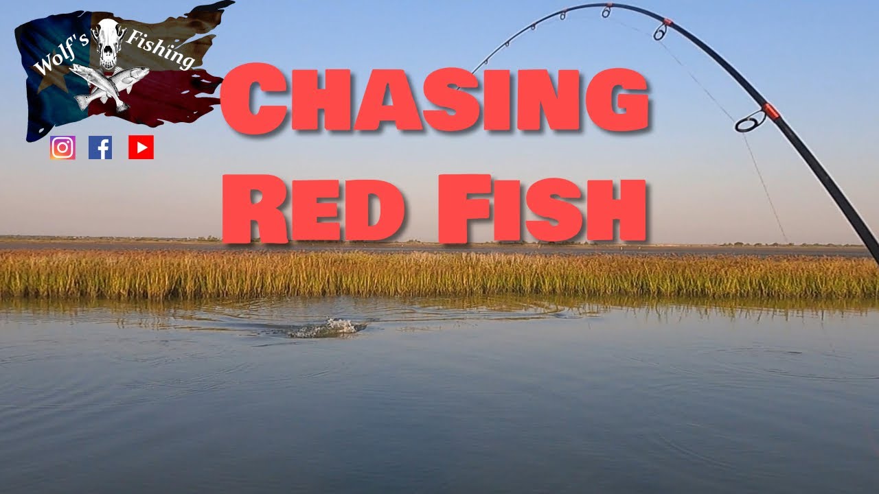 Chasing Red Fish Wolf's Fishing Corpus Christi - YouTube