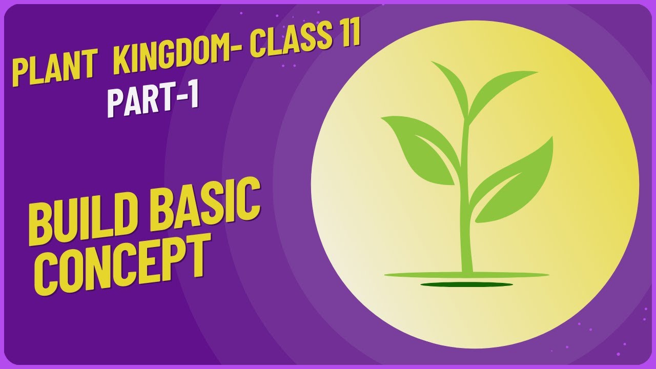 Plant Kingdom | part 1 | Class 11 | CBSE | NCERT | Basic Concepts ...