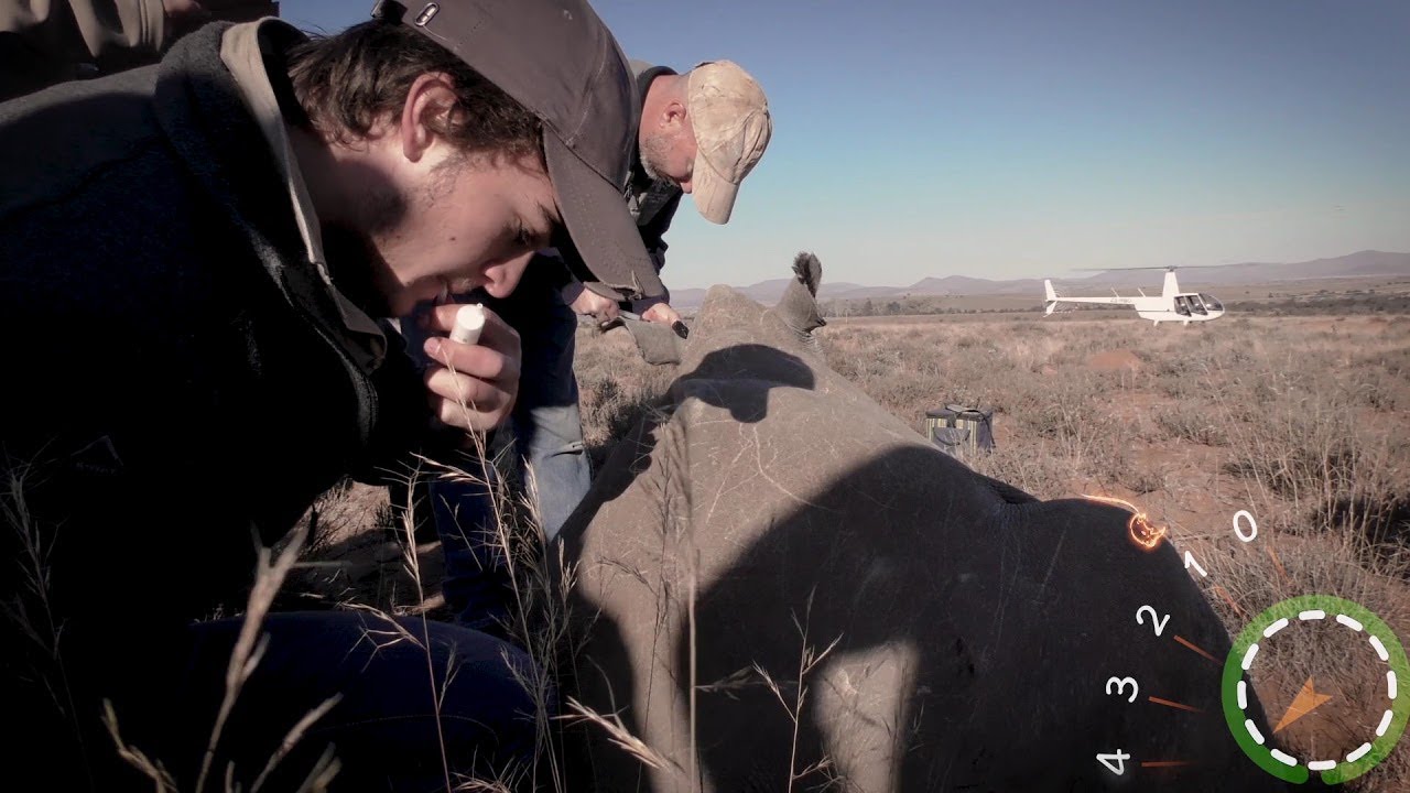 Operation Rhino Rescue - YouTube