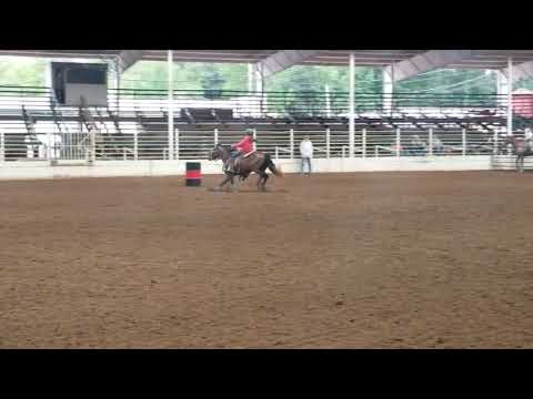Annsley barrels 5/11/19
