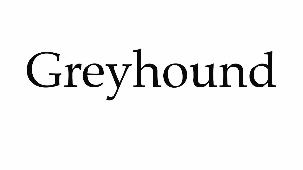 How to Pronounce Greyhound - YouTube