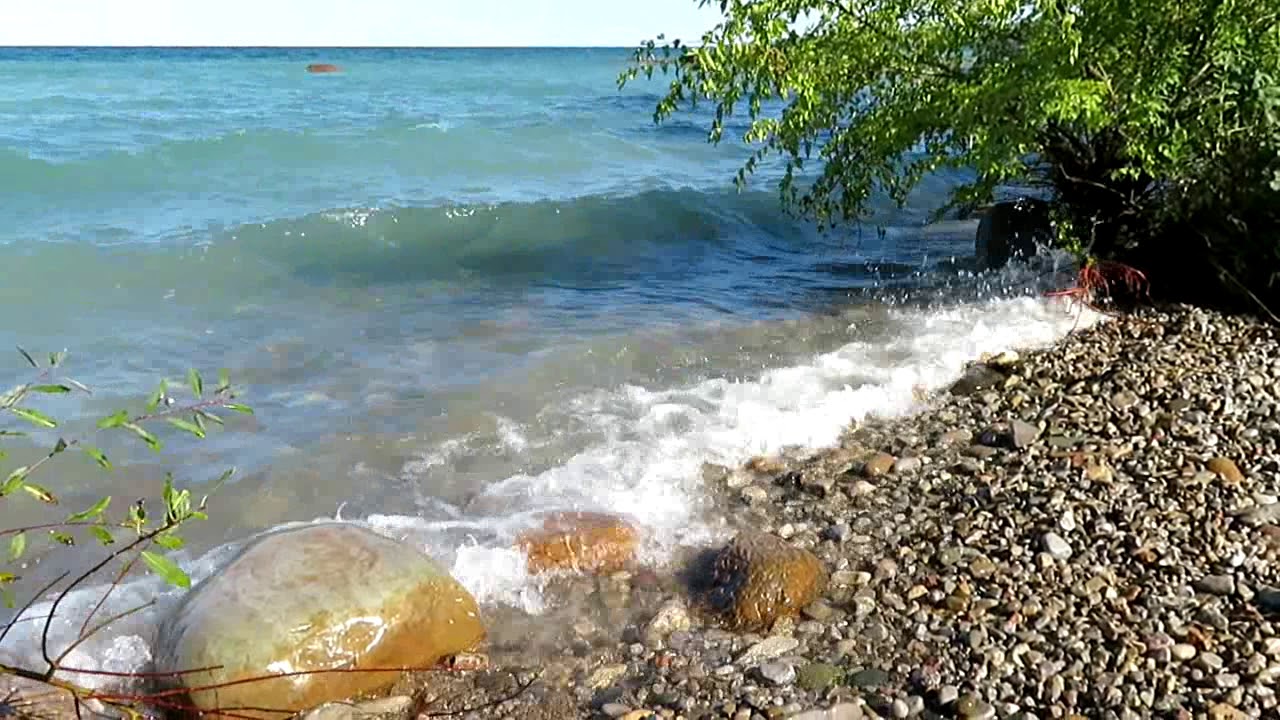 Random Nature Footage - YouTube