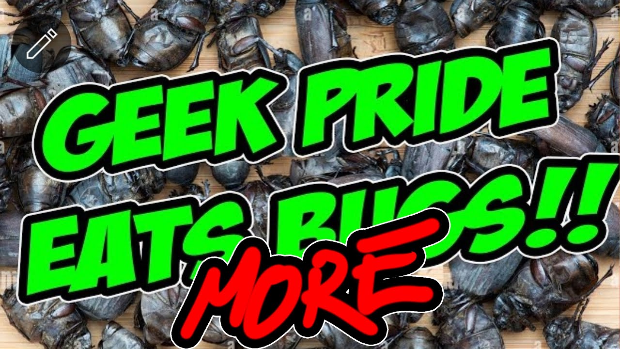 Geek Pride Eats More Bugs! - YouTube