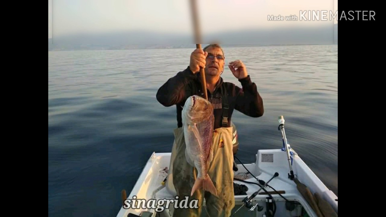 Fishing Billis & Manos sinagrida 8.200gr psarema me kalami- zoka ...