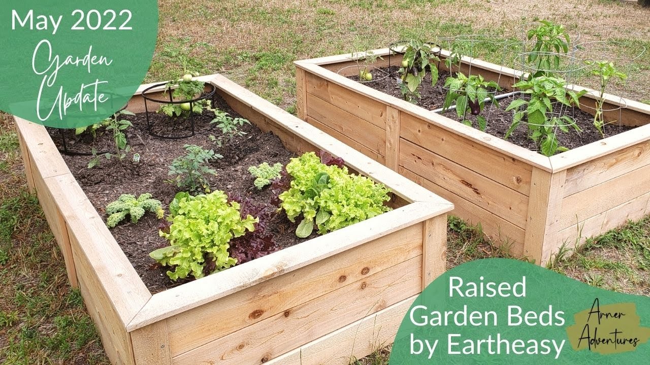Garden Update | May 2022 | eartheasy Cedar Raised Garden Beds - YouTube