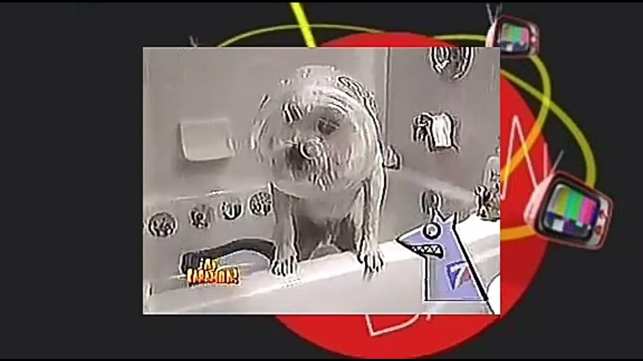 ay caramba 2004 azteca 7 HD - YouTube